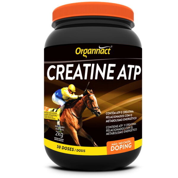 Creatine ATP Organnact - Drag Pharma